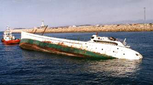 El Dragonera | Espècies Marines del Mediterrani