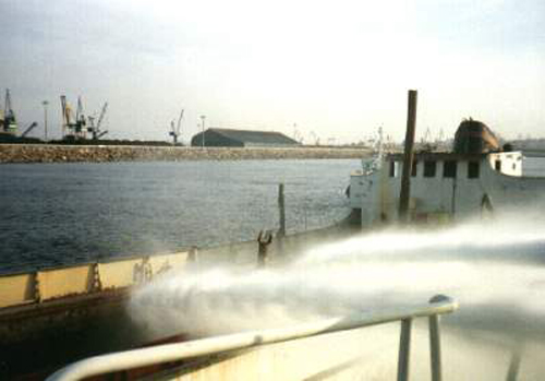 El Dragonera – Espècies Marines del Mediterrani