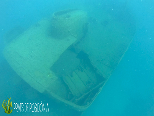 El Dragonera – Espècies Marines del Mediterrani