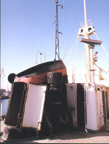 El Dragonera | Espècies Marines del Mediterrani