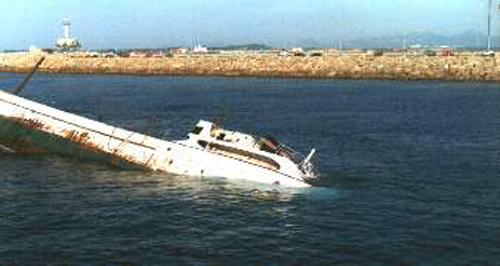 El Dragonera | Espècies Marines del Mediterrani