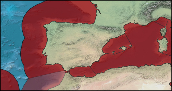 Mesophyllum lichenoides | Mesòfil – Espècies Marines del Mediterrani