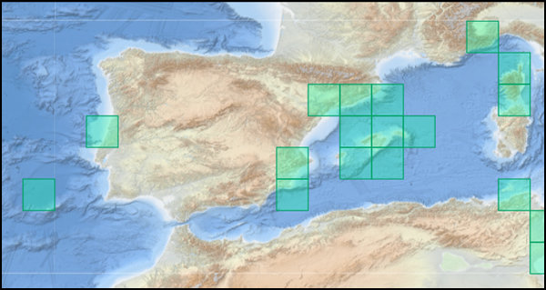 Seriola Dumerili | Cerviola – Espècies Marines del Mediterrani