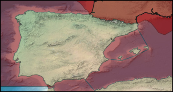 Ophiothrix fragilis | Ofiura – Espècies Marines del Mediterrani