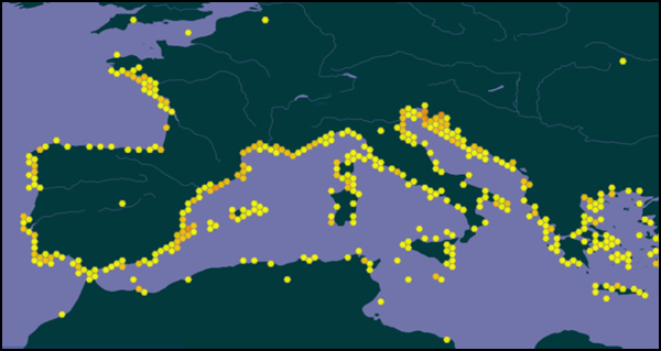 Eriphia Verrucosa | Cranc Pelut – Espècies Marines del Mediterrani