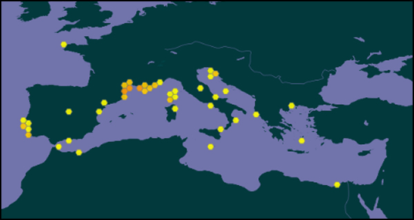 Phallusia fumigata | Ascidi negre – Espècies Marines del Mediterrani